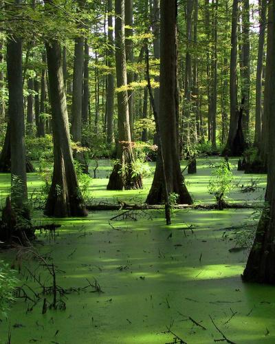 case studies | Resilient Watersheds Toolbox case studies | Resilient Watersheds Toolbox